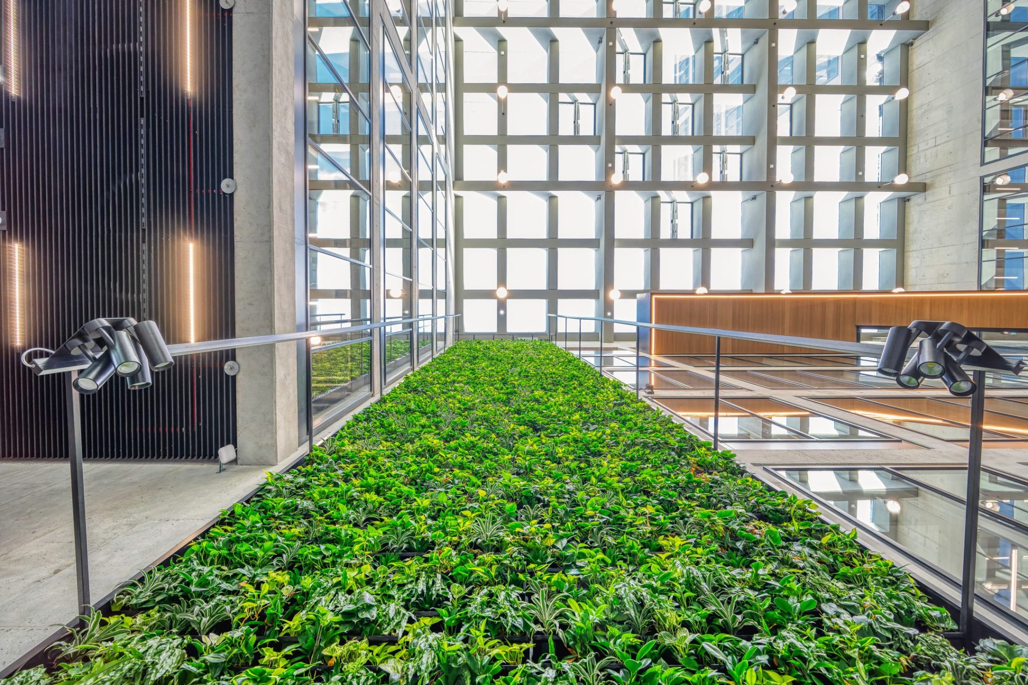 Sustainable Office Spaces: How Green Buildings Are Shaping the Future ...